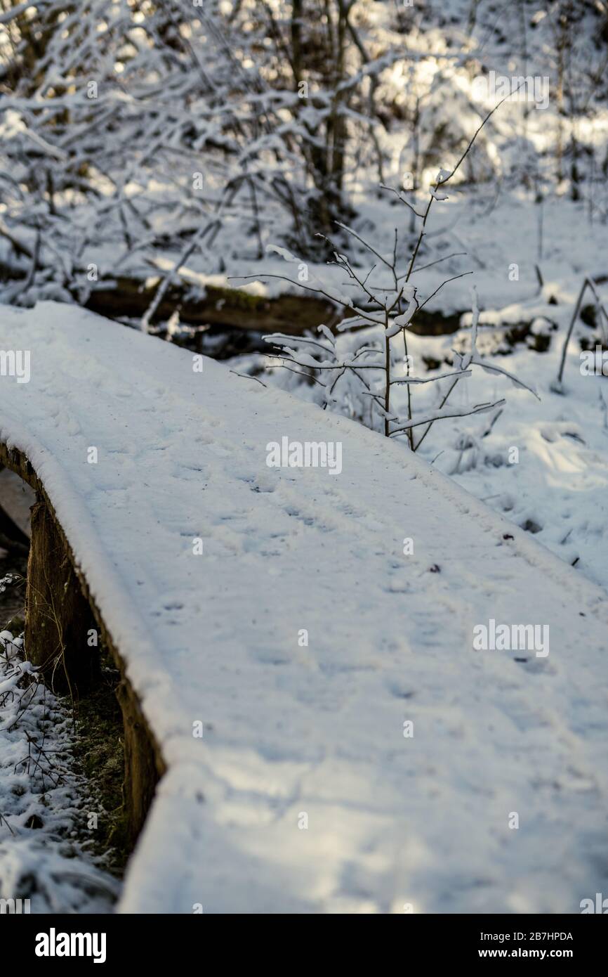 snowy pathway for walking in forest in winter, sunny day with stairs ...