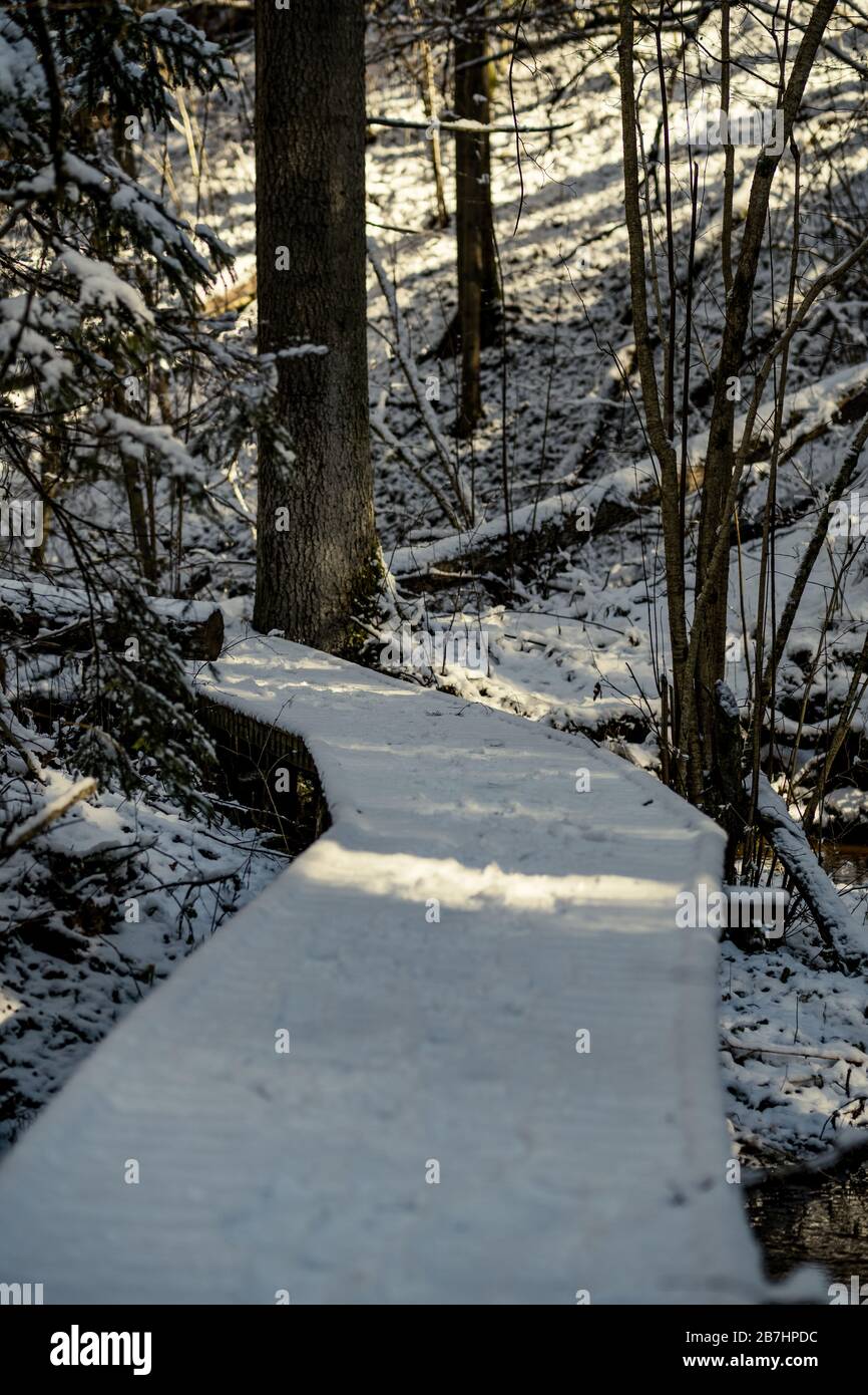 snowy pathway for walking in forest in winter, sunny day with stairs ...