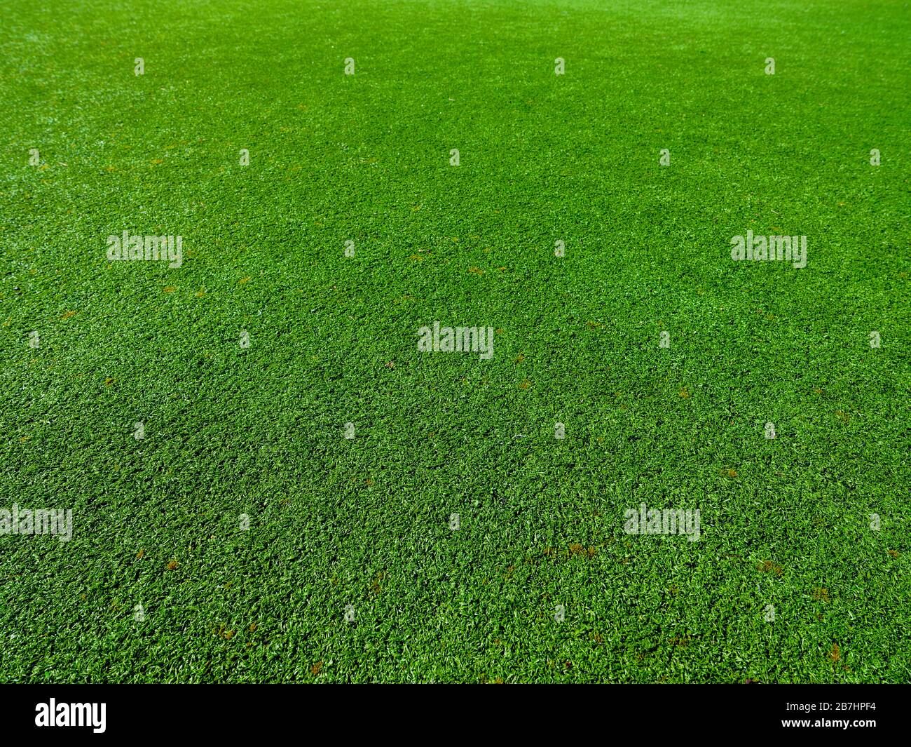 Football pitch close up hi-res stock photography and images - Alamy