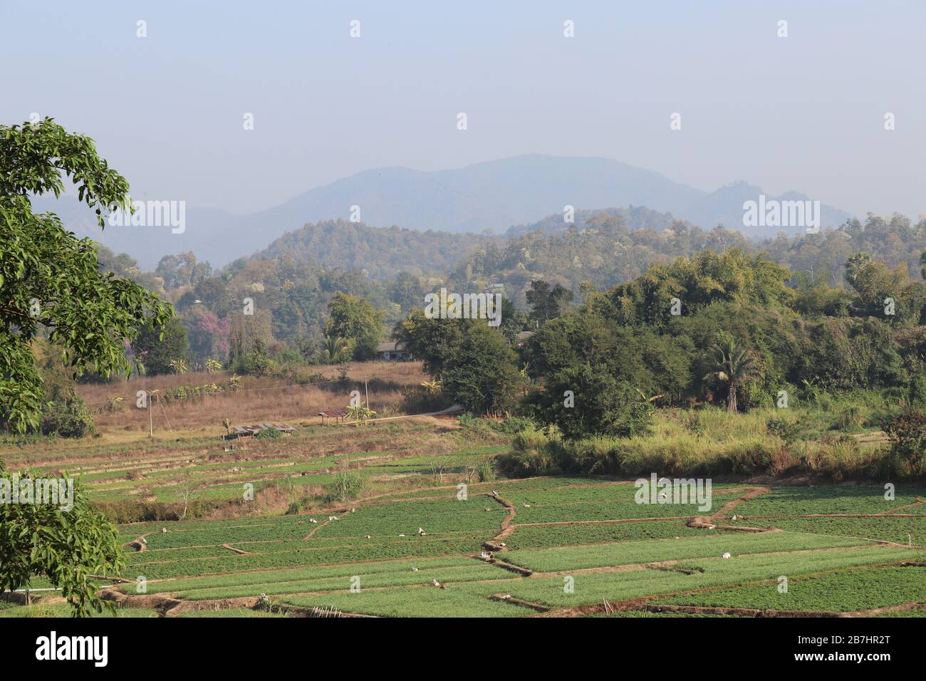 Mae hong son food hi-res stock photography and images - Alamy
