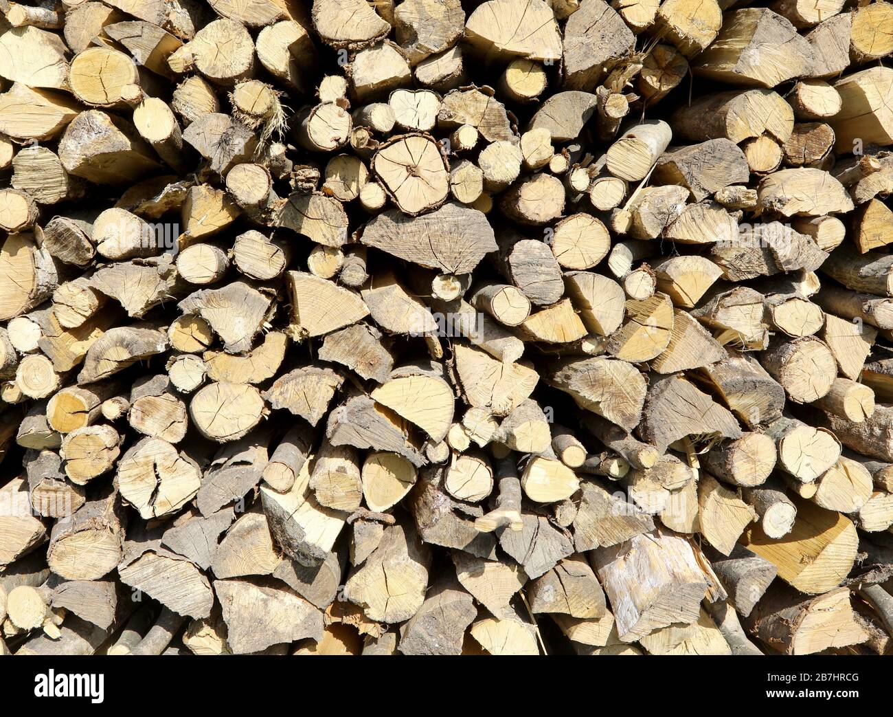 Cutted wood hi-res stock photography and images - Alamy