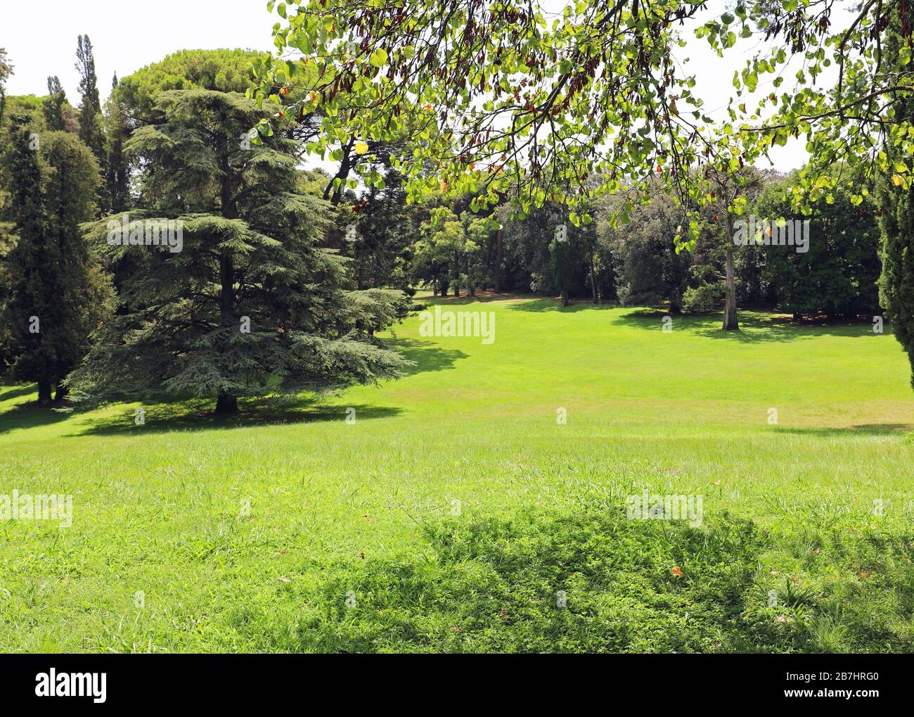 large green garden in europe with many big trees Stock Photo - Alamy