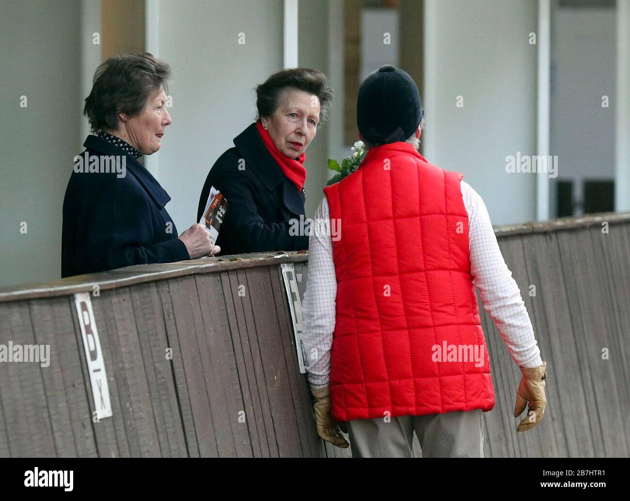 The Princess Royal, Vice-Patron of the equine charity, The British ...