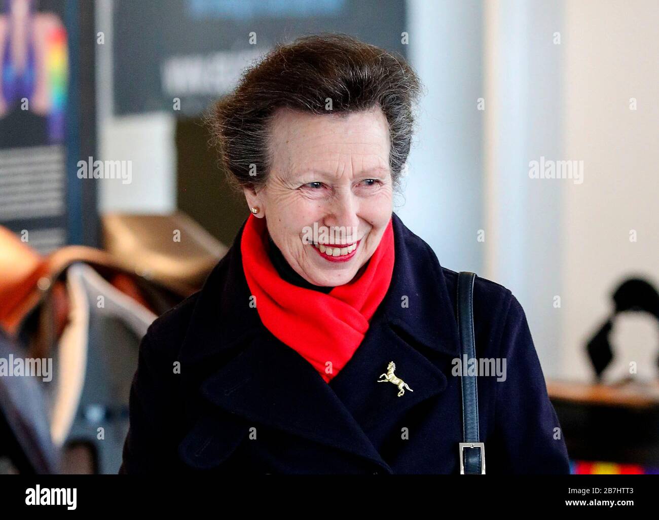 The Princess Royal, Vice-Patron of the equine charity, The British ...