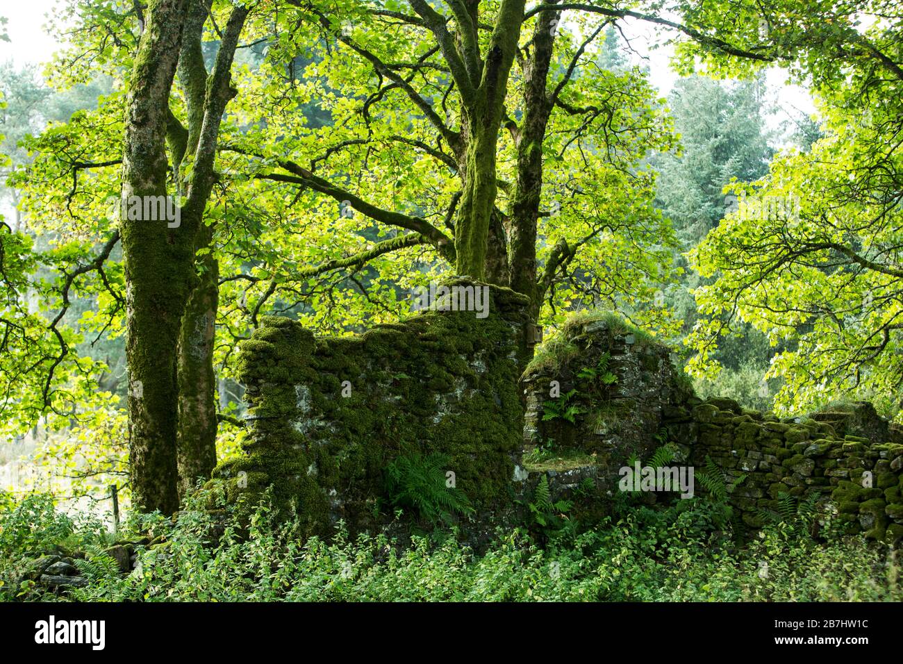 St fillan's priory hi-res stock photography and images - Alamy