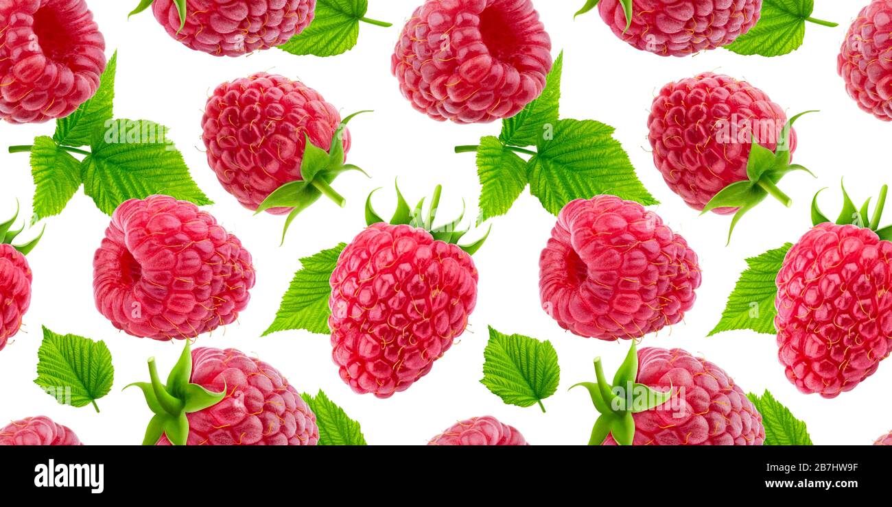 Raspberry seamless pattern isolated on white background Stock Photo - Alamy