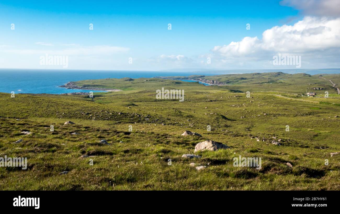 Scottish sheep heather hi-res stock photography and images - Alamy