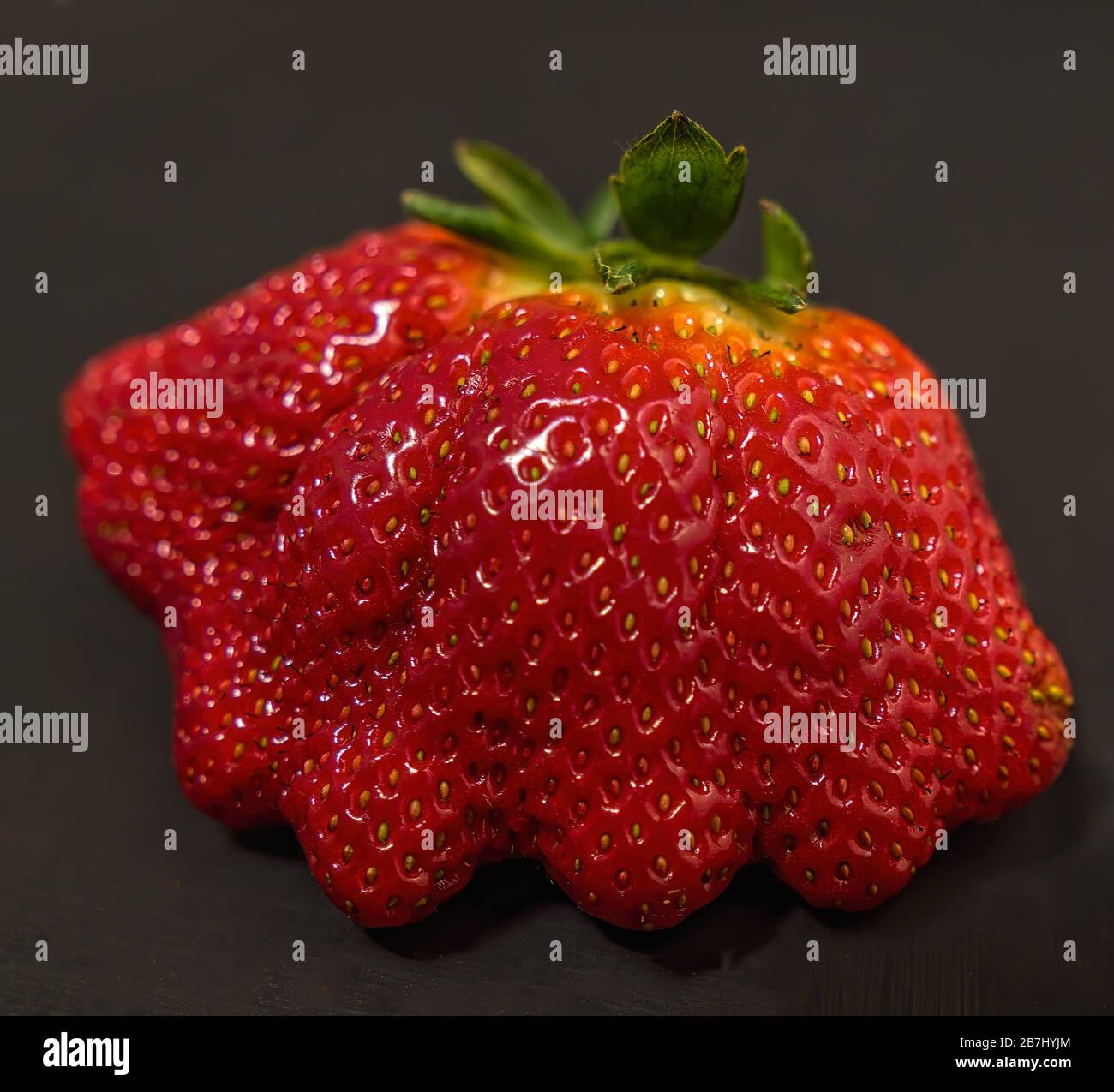 Kuio hi-res stock photography and images - Alamy