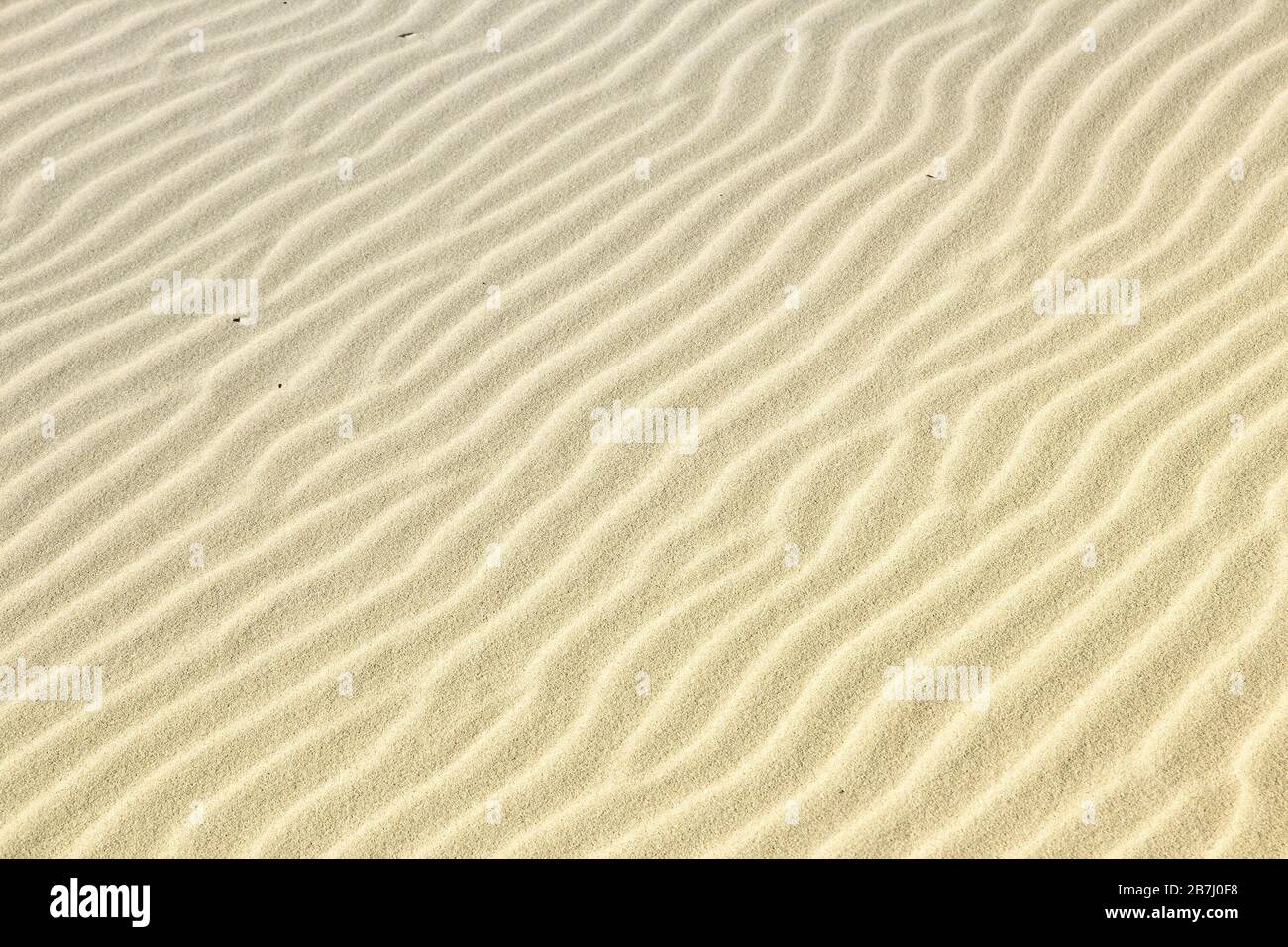 Sand pattern background - yellow beach sand in Poland Stock Photo - Alamy