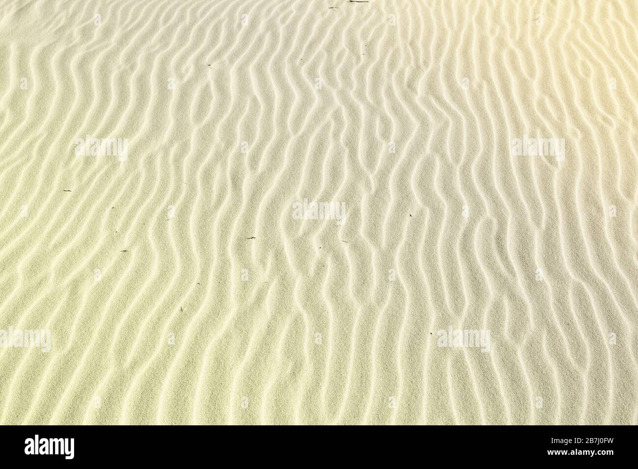 Sand pattern background - yellow beach sand in Poland Stock Photo - Alamy