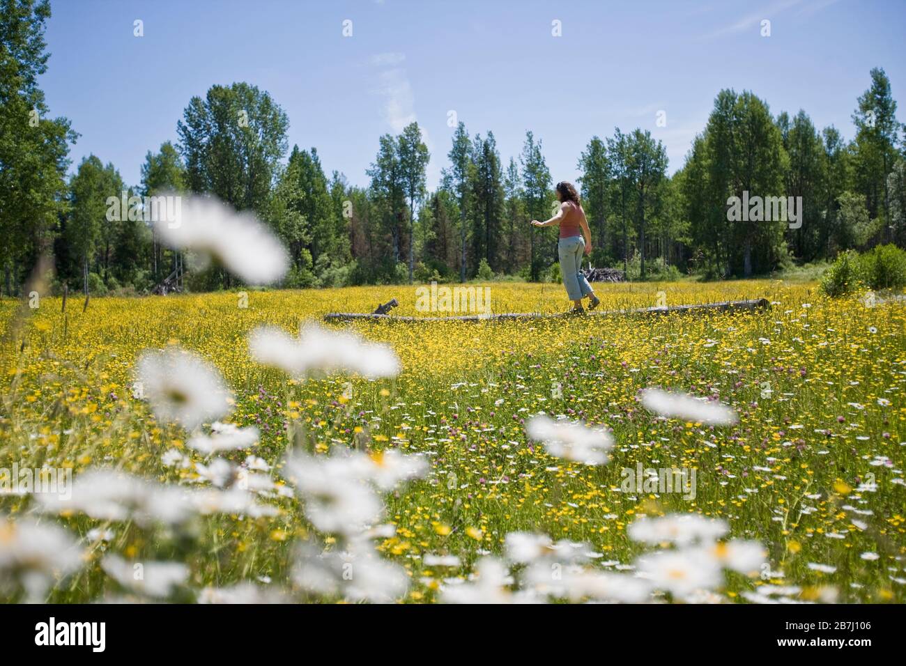 Adult female log balancing hi-res stock photography and images - Alamy