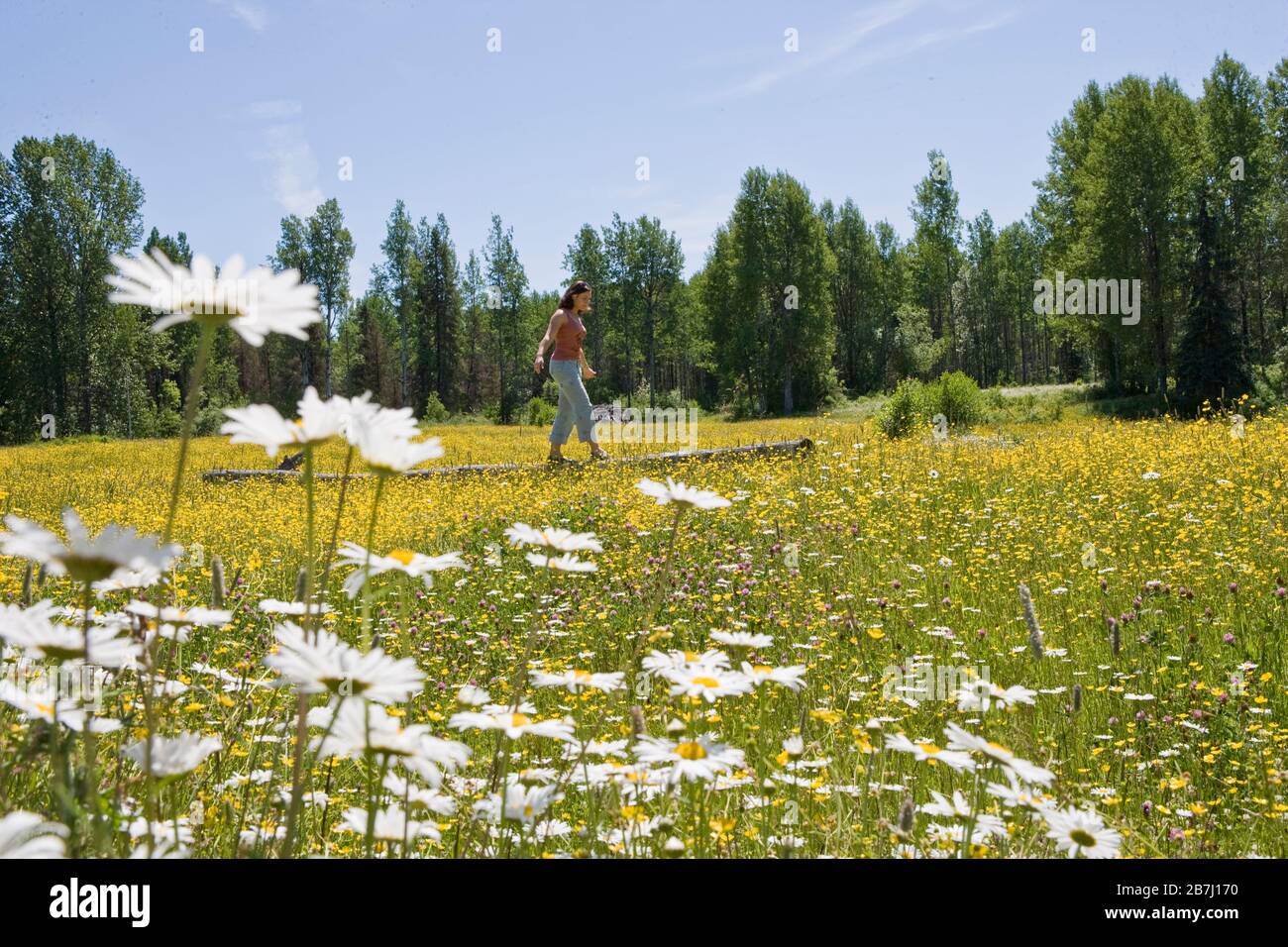 Adult female log balancing hi-res stock photography and images - Alamy
