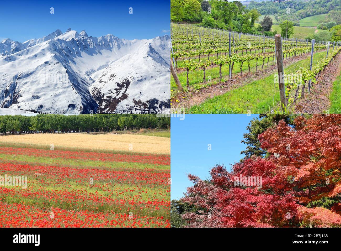 Winter spring seasons earth hi-res stock photography and images - Alamy