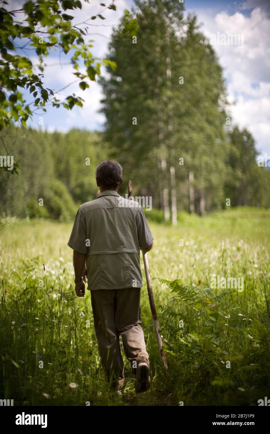 Hikers walking through meadow hi-res stock photography and images - Alamy