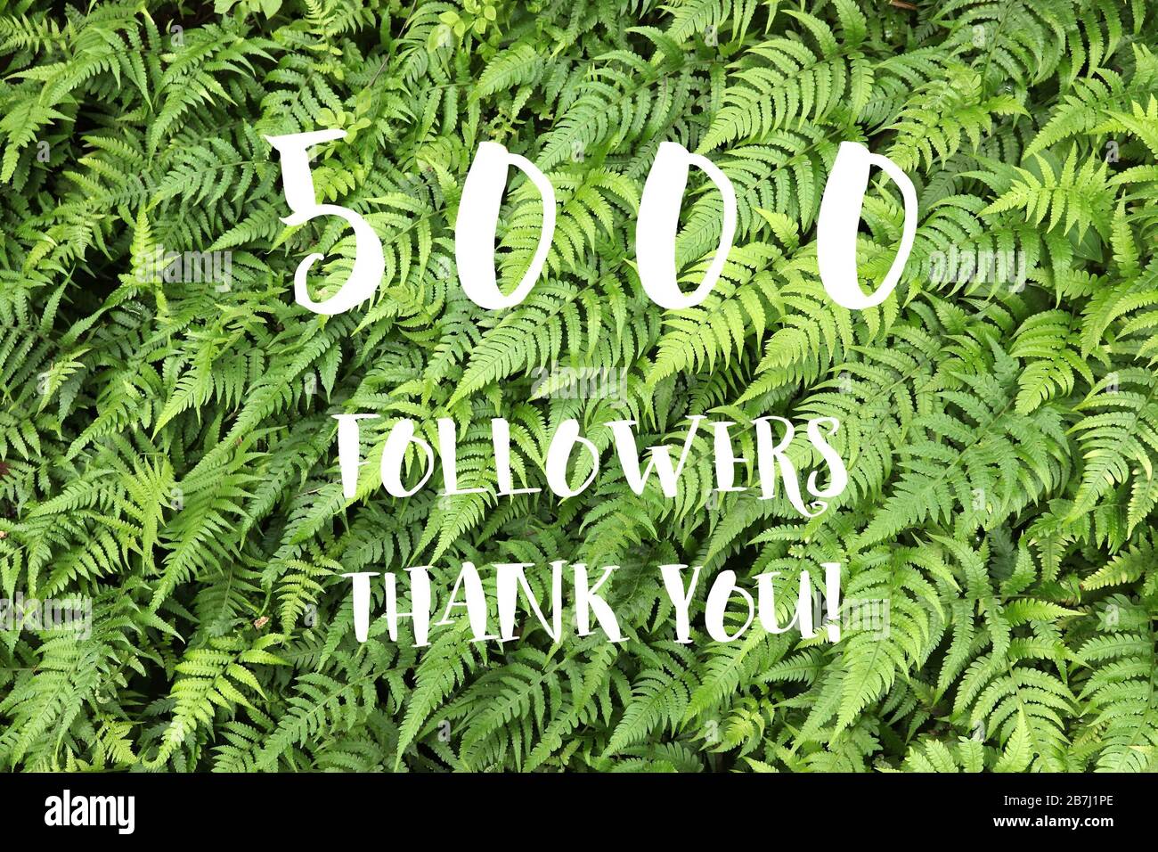 5000 followers thank you sign - social media milestone banner. 5k likes ...