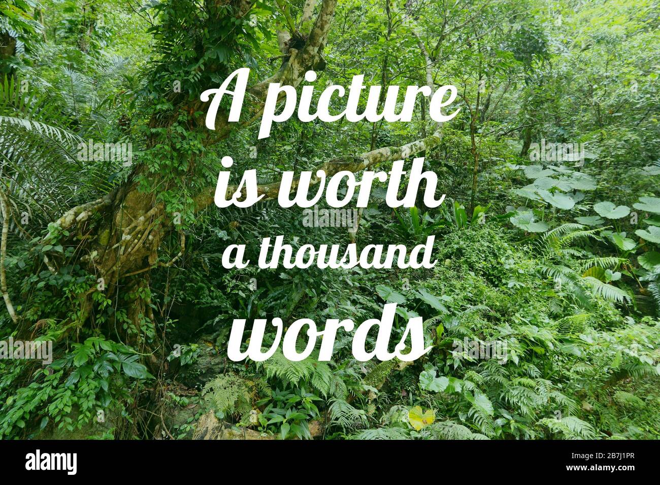 A Thousand Words Poster