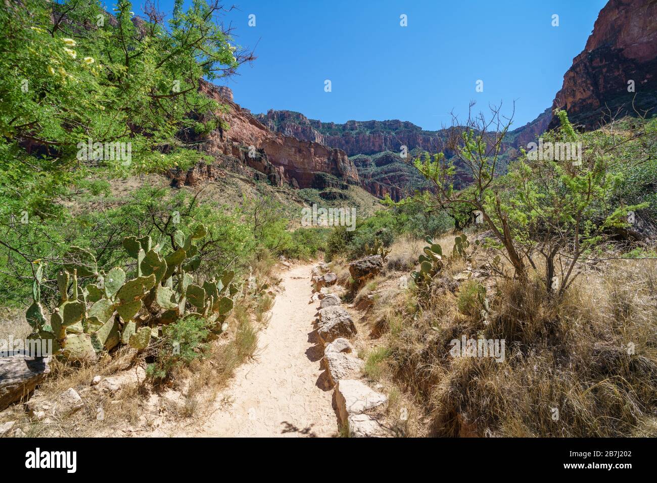 hiking through indian garden on bright angel trail in grand canyon ...