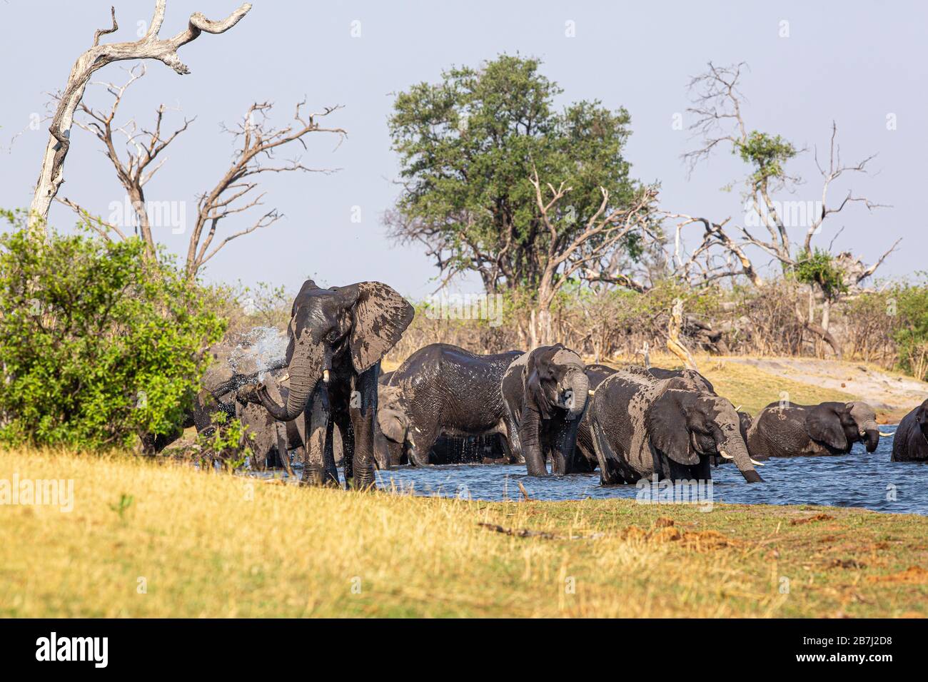 Caprivi strip hi-res stock photography and images - Alamy
