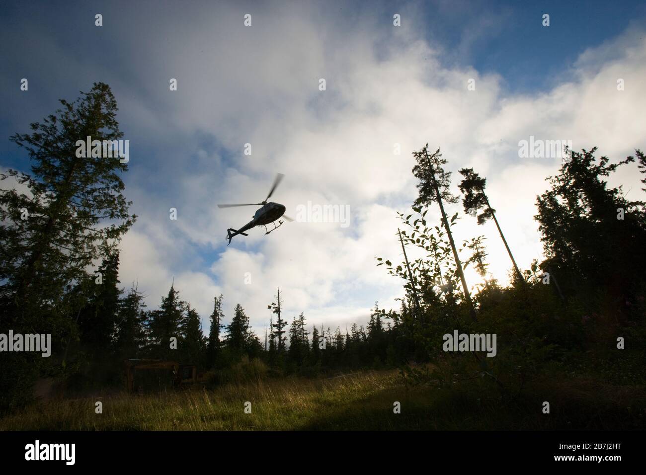 Helicopter coming into land in a clearing Stock Photo - Alamy