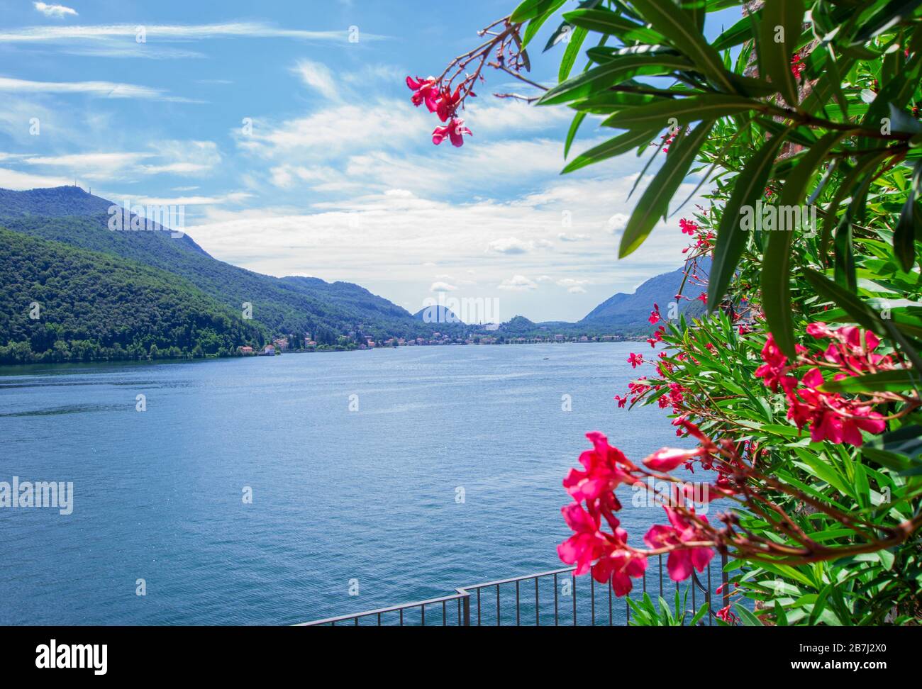 beautiful landscape with vibrant colors of summer bloom on Lake Lugano ...
