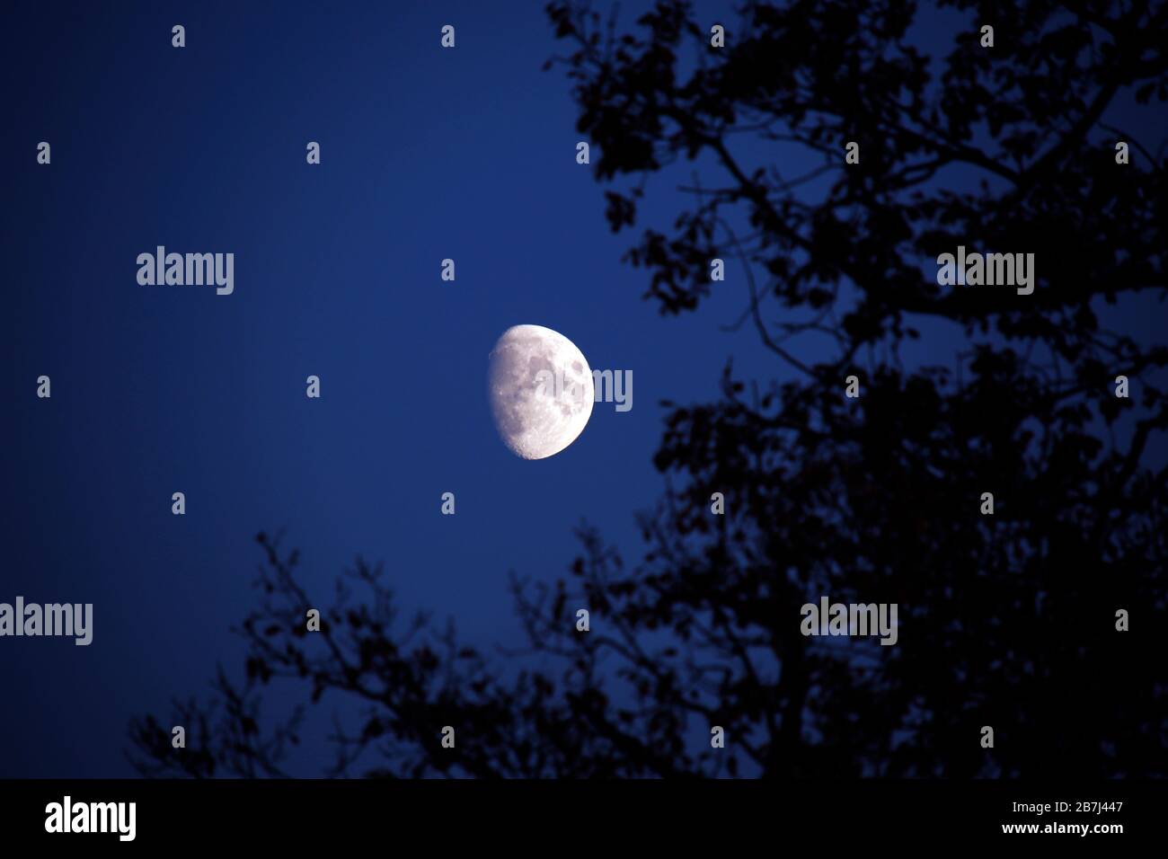 Three-quarter moon at dusk Stock Photo - Alamy