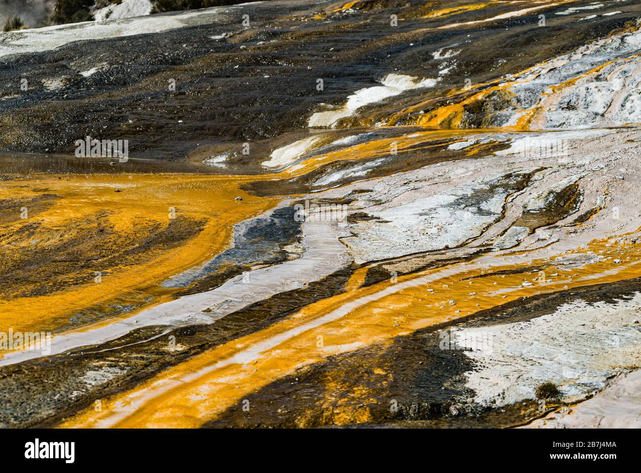 Yellow algae rocks hi-res stock photography and images - Alamy