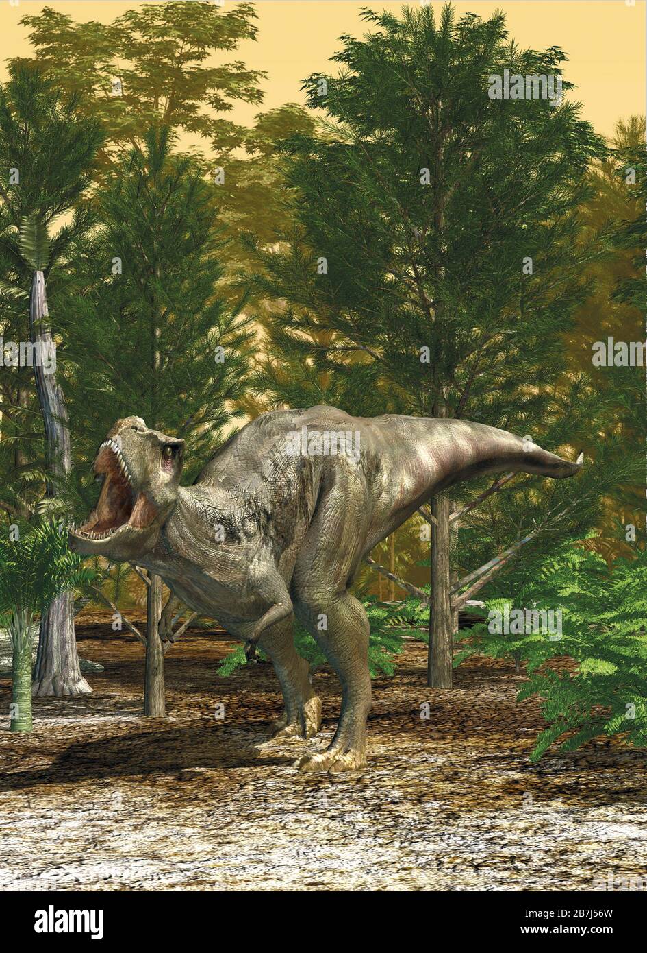 T-Rex dinosaur roaring in a coniferous forest. 3D photorealistic ...