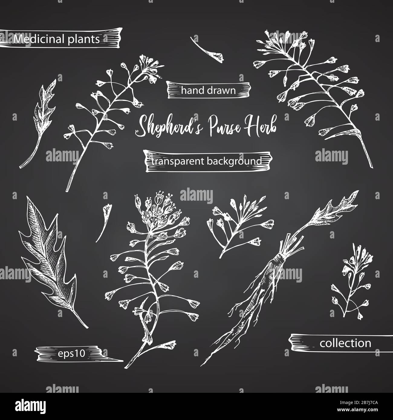 Hand purse Stock Vector Images - Alamy