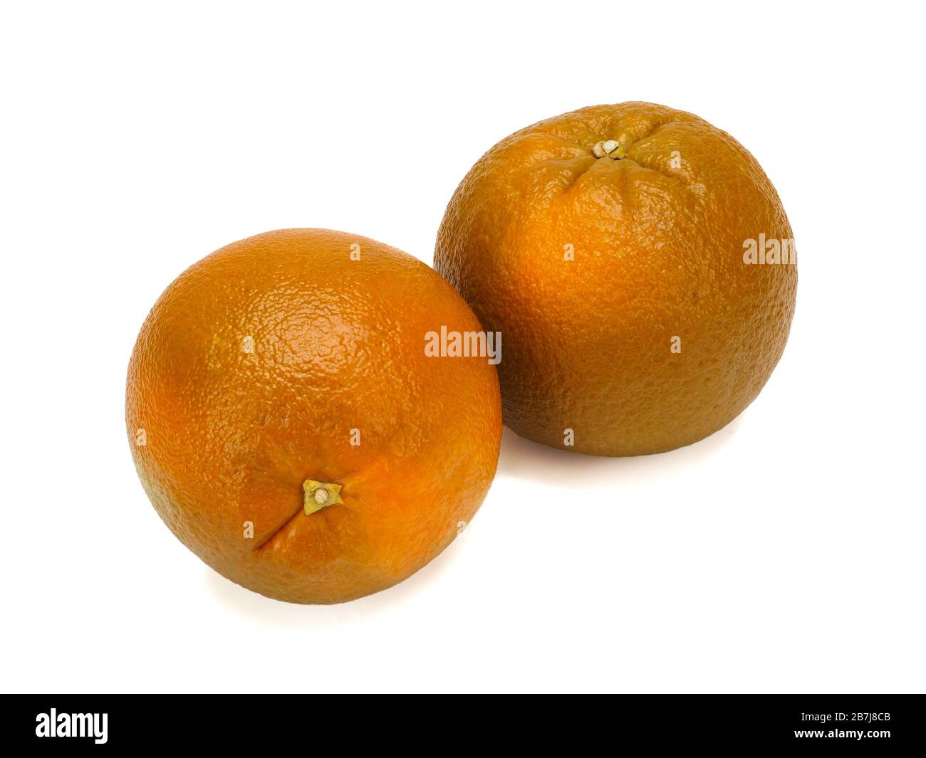 Navel chocolate orange hi-res stock photography and images - Alamy