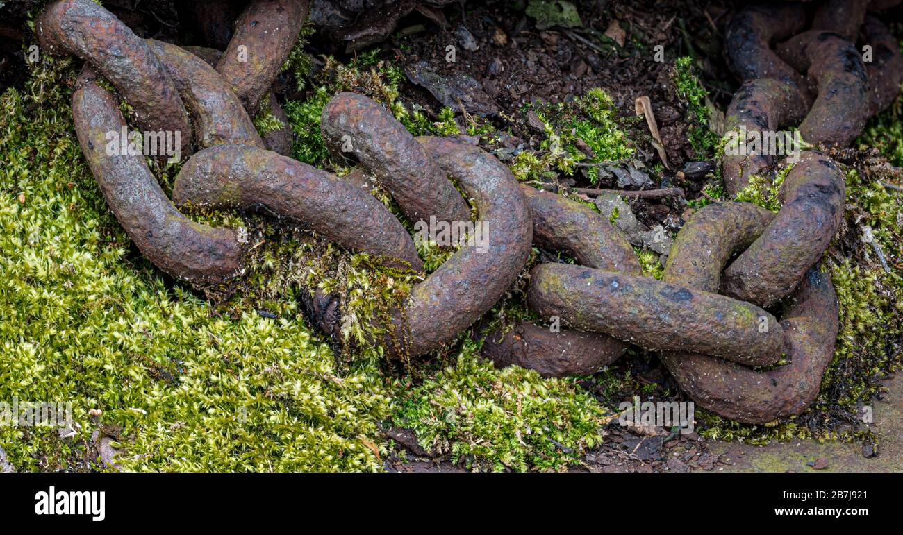 Encroachment on nature hi-res stock photography and images - Alamy