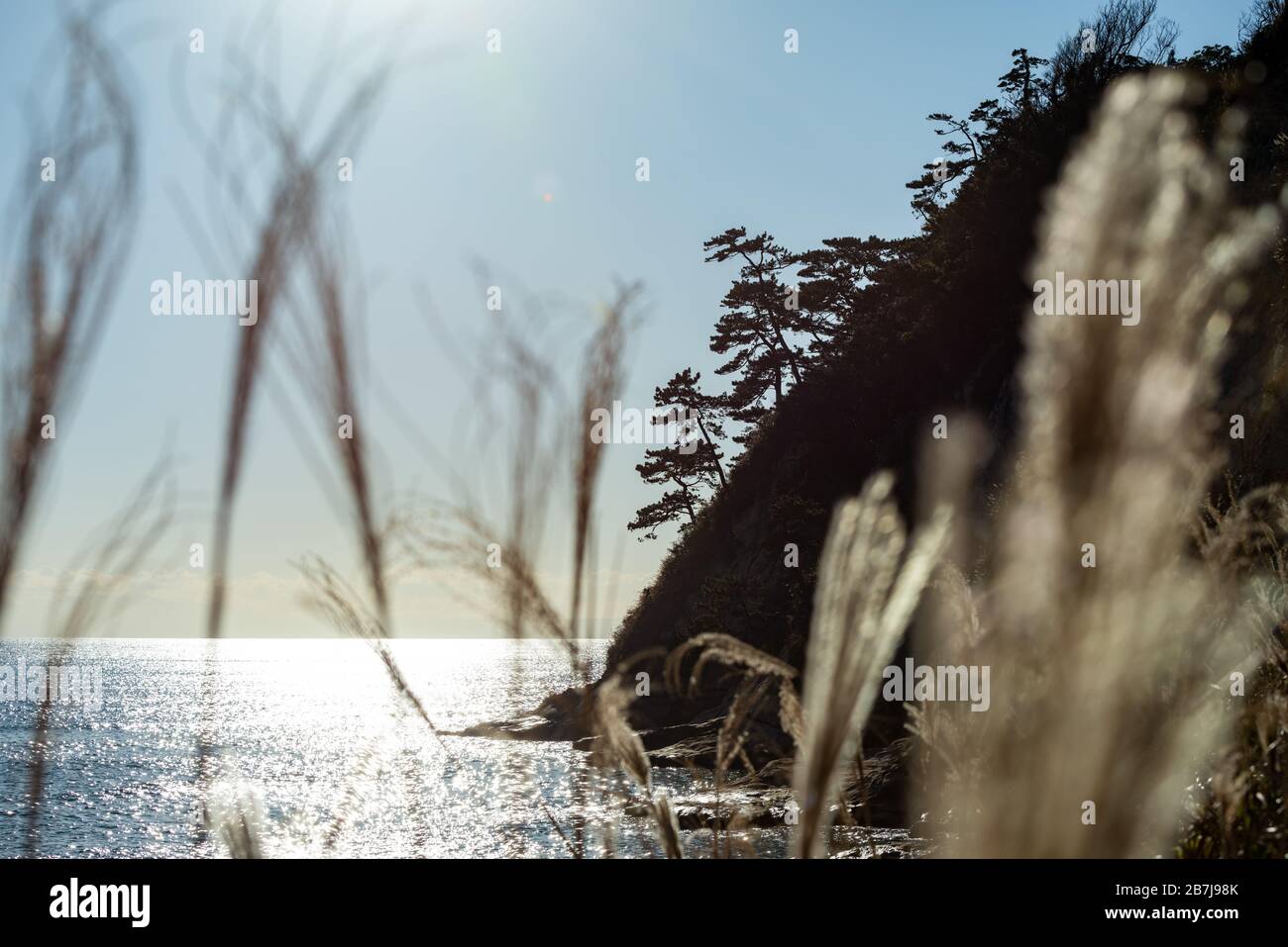Cape Imamuragasaki, Sagami Bay, close to Enoshima Is, Kanagawa, Sagami ...