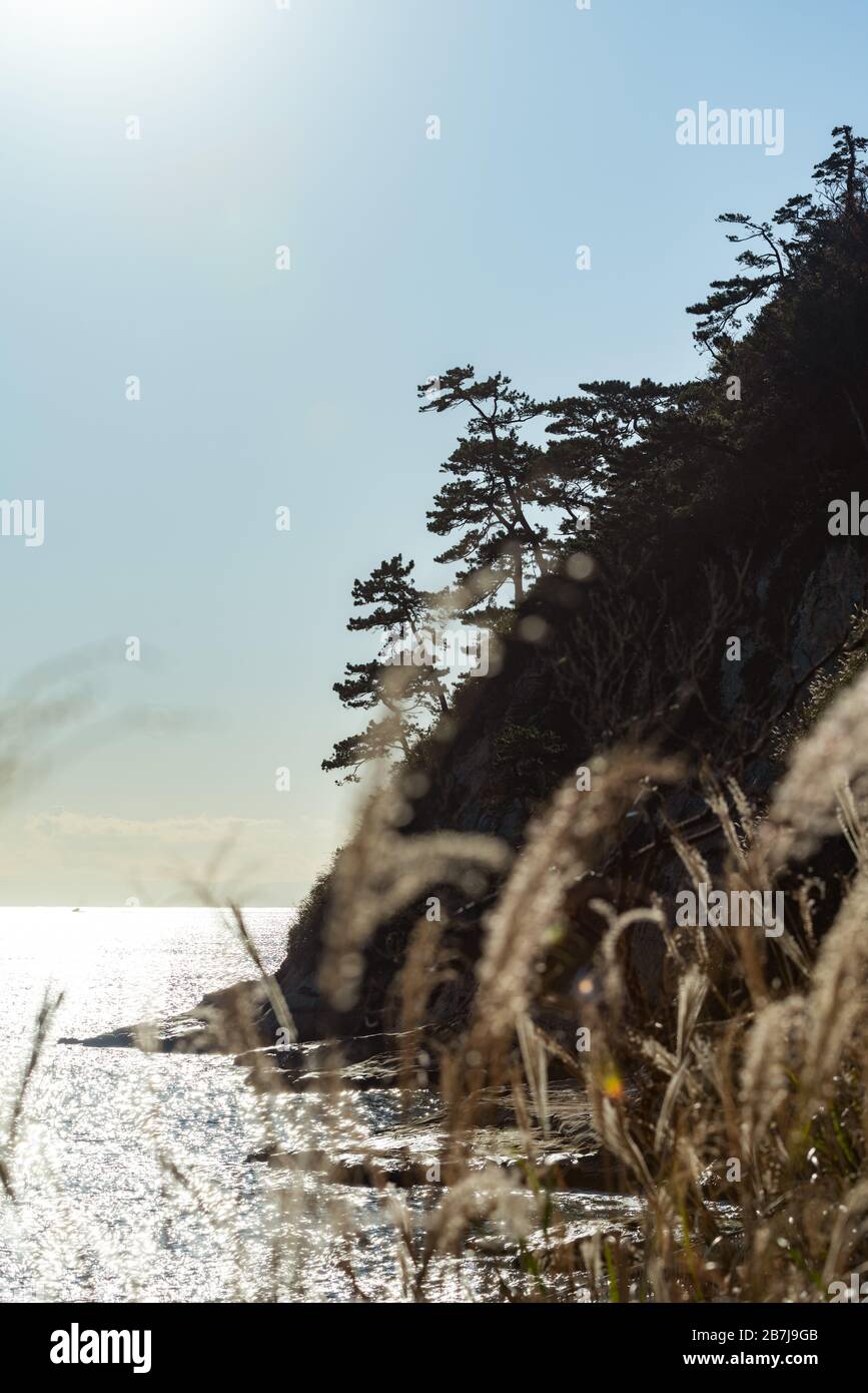 Cape Imamuragasaki, Sagami Bay, close to Enoshima Is, Kanagawa, Sagami ...