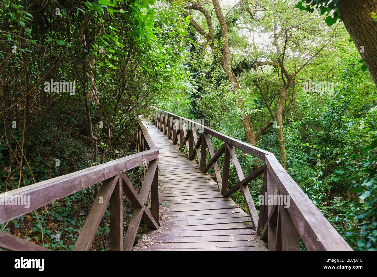 Beautiful small wooden bridge leading through impassable thickets ...