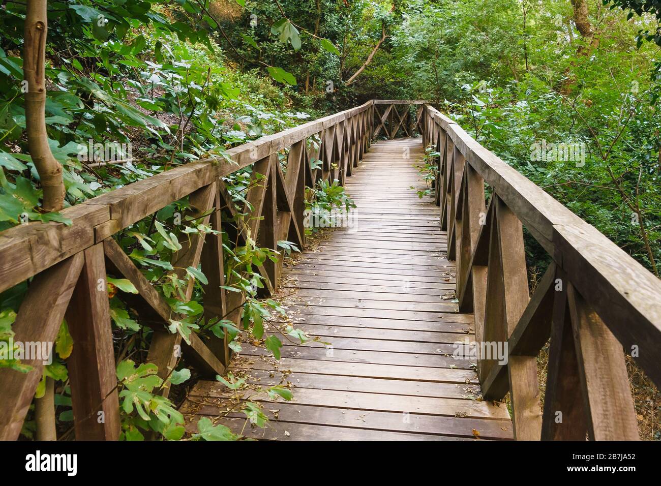Beautiful small wooden bridge leading down the hill, overgrown with ...
