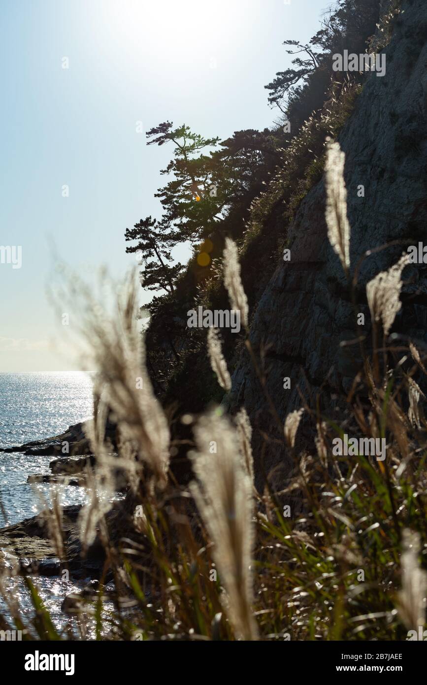 Cape Imamuragasaki, Sagami Bay, close to Enoshima Is, Kanagawa, Sagami ...