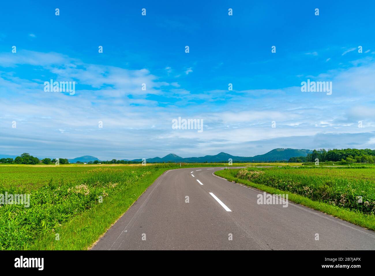 Rural asphalt road among the fields in summer season Stock Photo - Alamy
