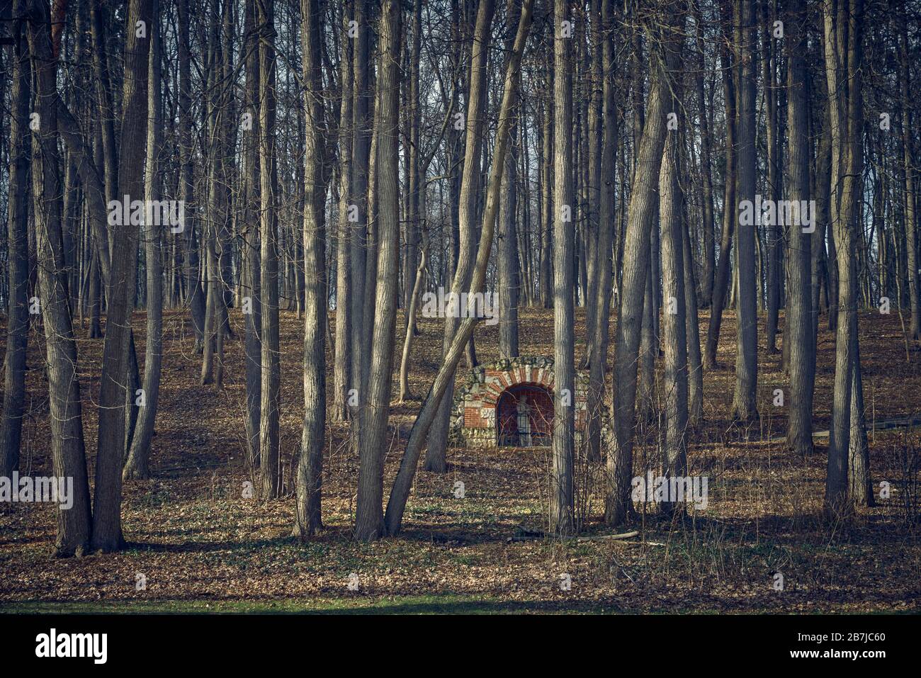 Sculpturesque hi-res stock photography and images - Alamy