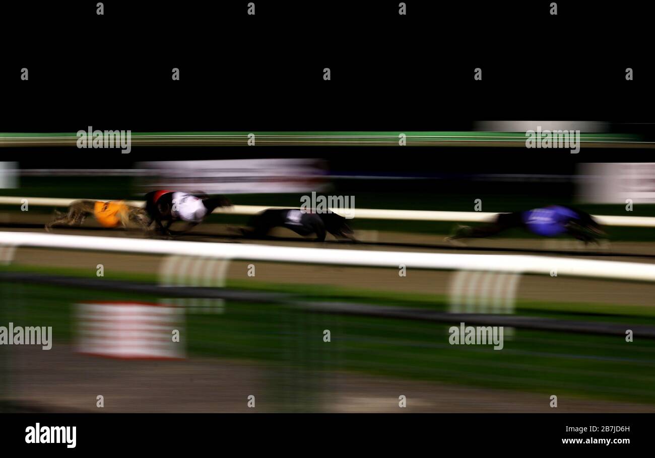 General of a race at Nottingham Greyhound Track, Nottingham Stock Photo ...