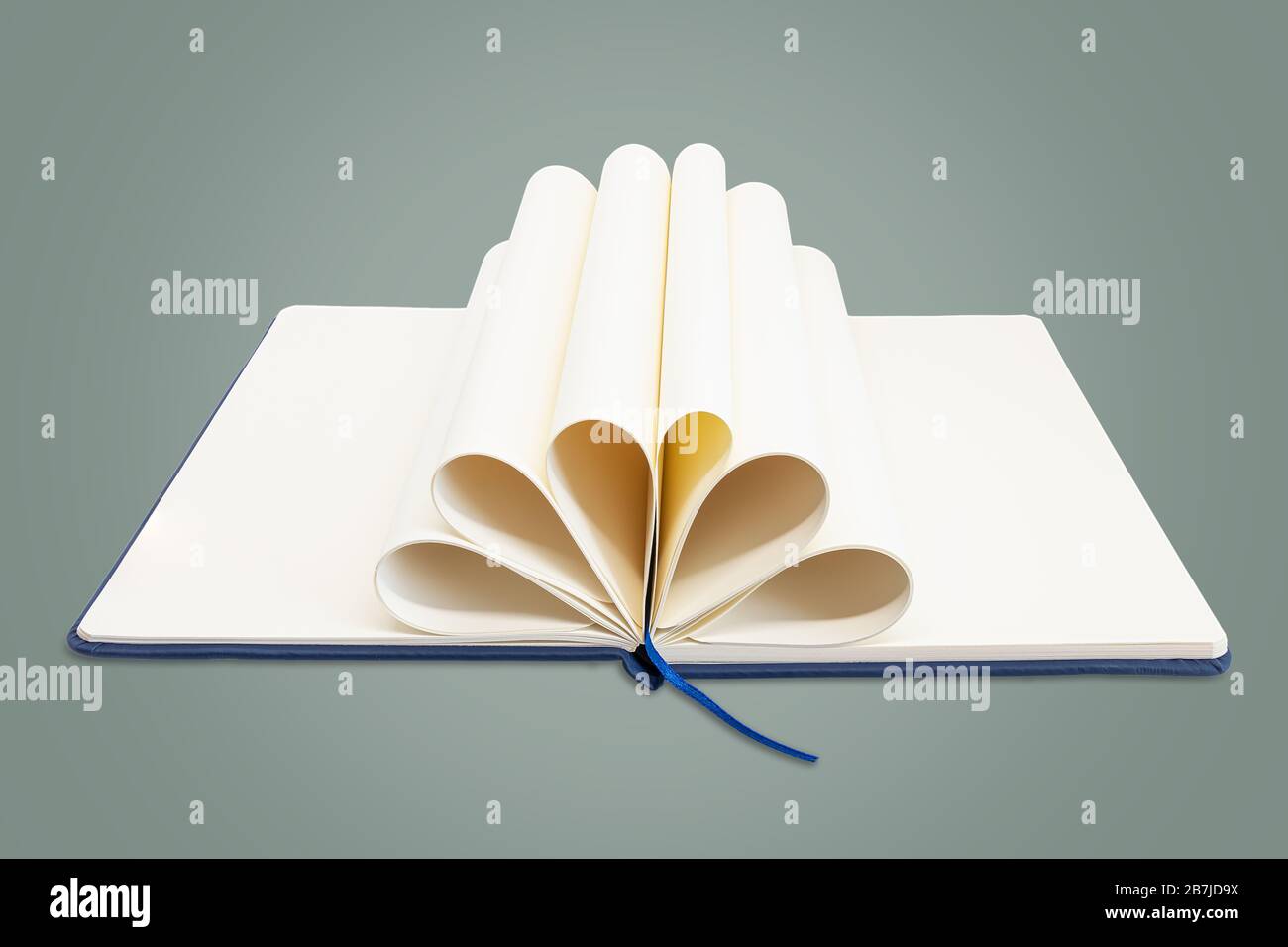 View of open blank notebook Stock Photo - Alamy