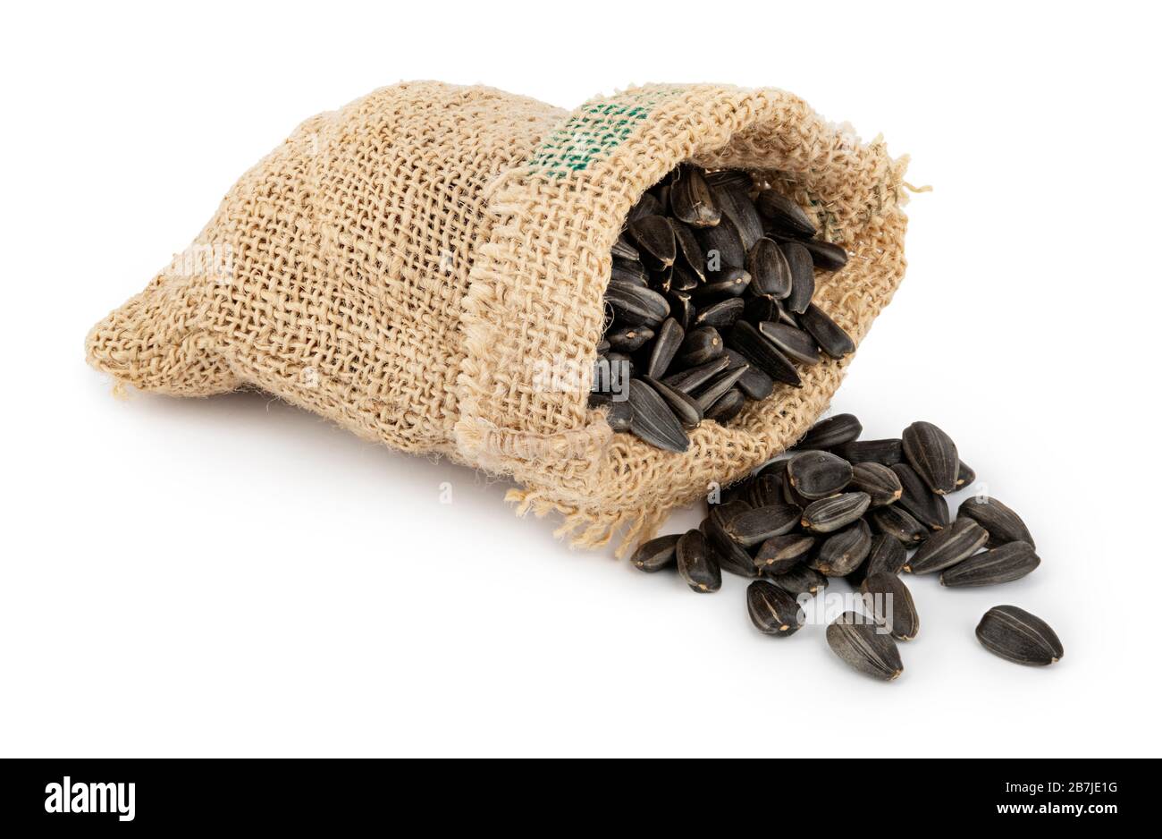 Sunflower seeds scattering form a sack isolated on white background ...