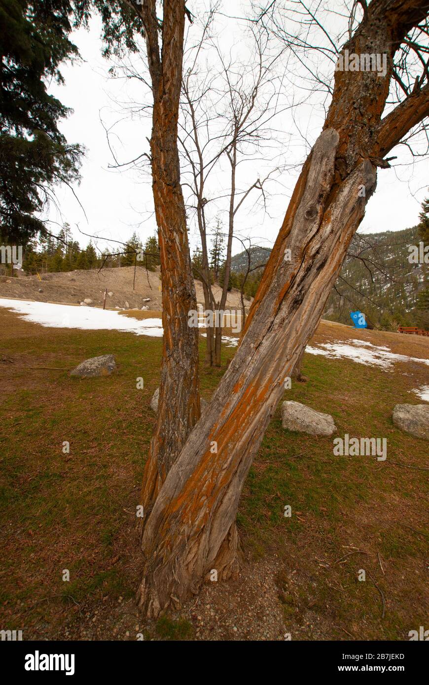 Rock provincial park hi-res stock photography and images - Alamy