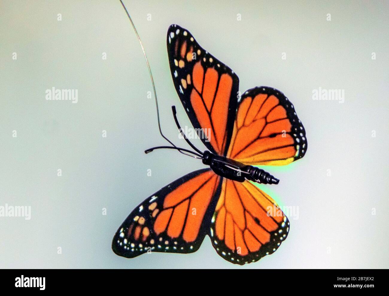 Flittering about hi-res stock photography and images - Alamy