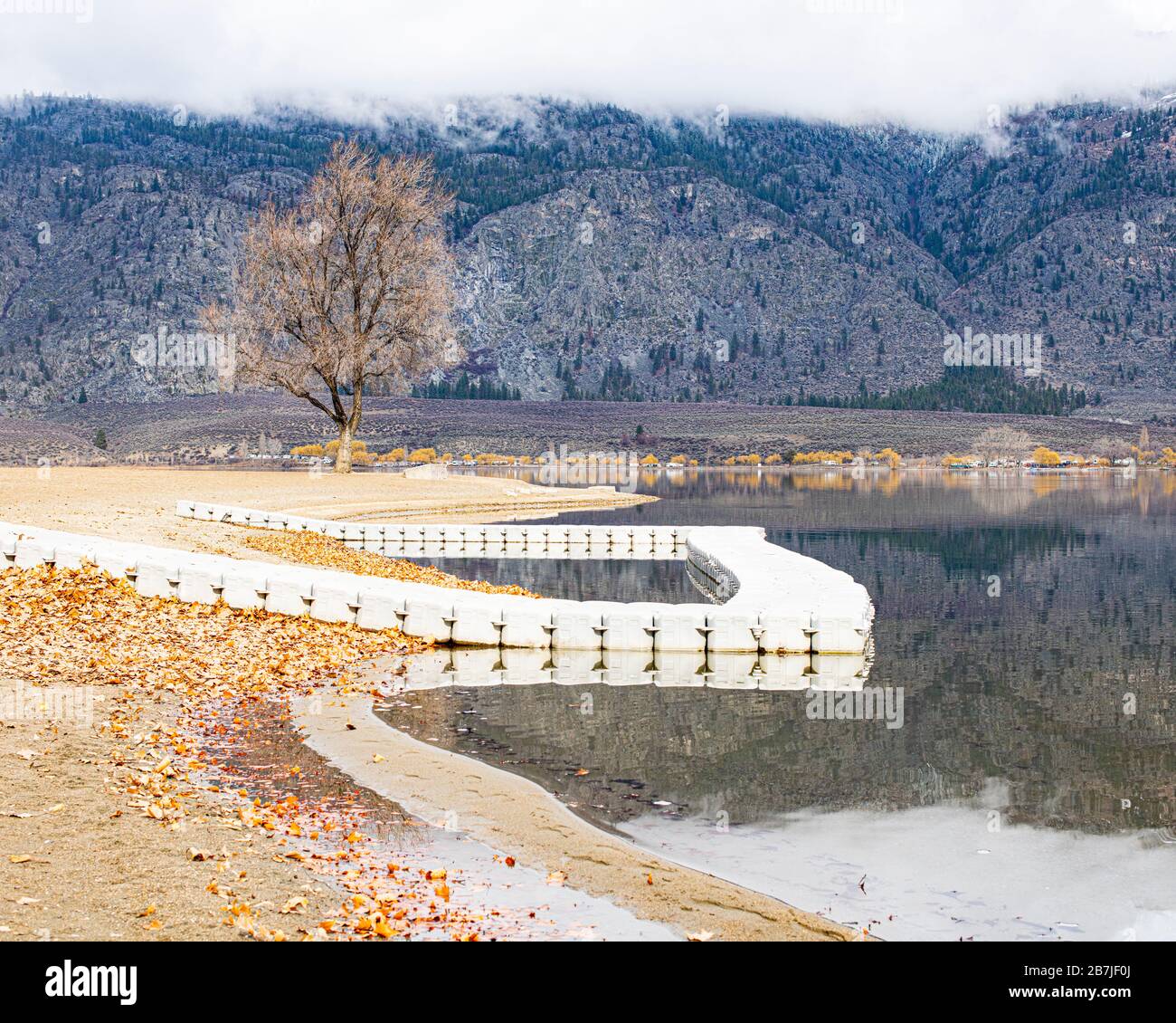 Tree and dock on Osoyoos Lake, Osoyoos, British Columbia, Canada Stock ...