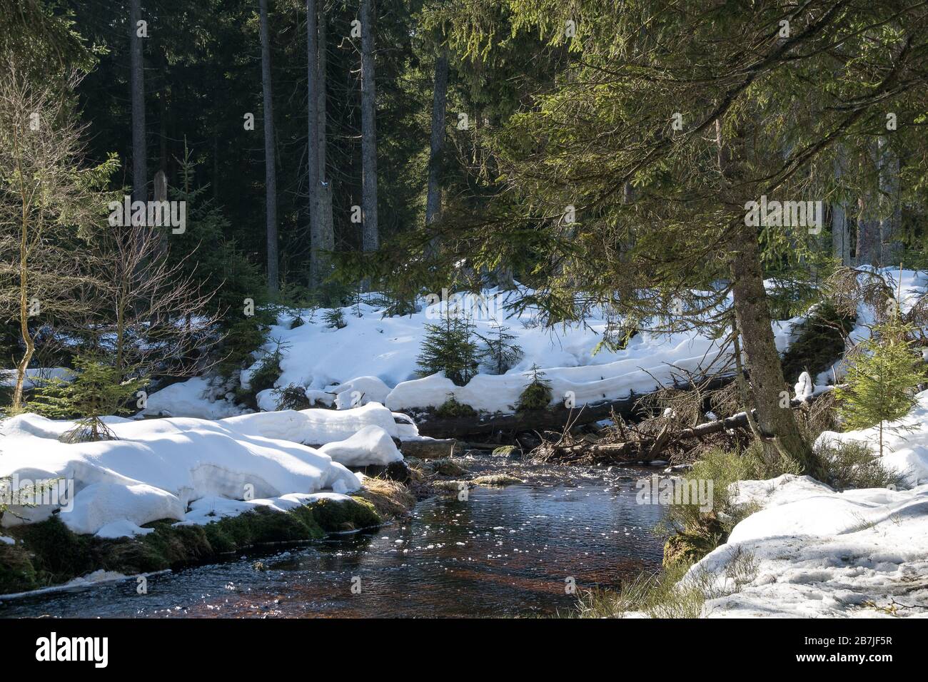 Harz nature park in winter hi-res stock photography and images - Alamy