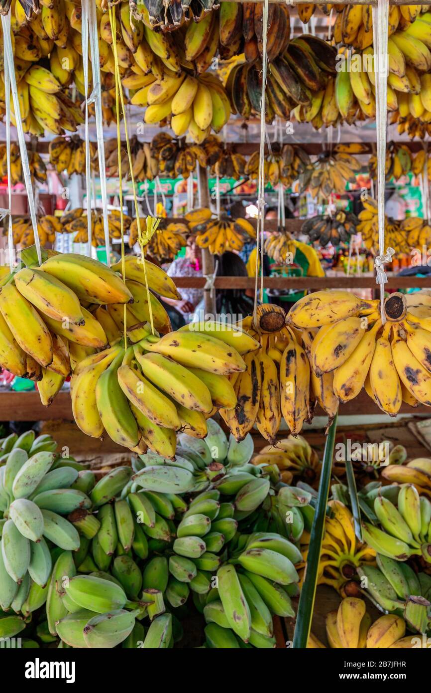 Bananas at market stall in Myanmar Stock Photo - Alamy