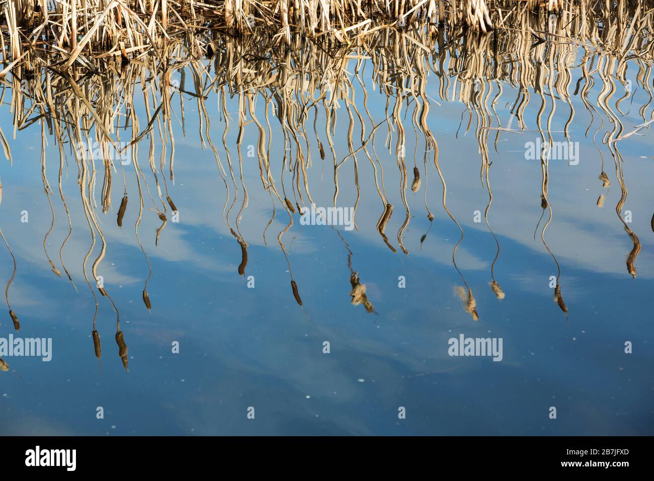 Bury canal hi-res stock photography and images - Alamy