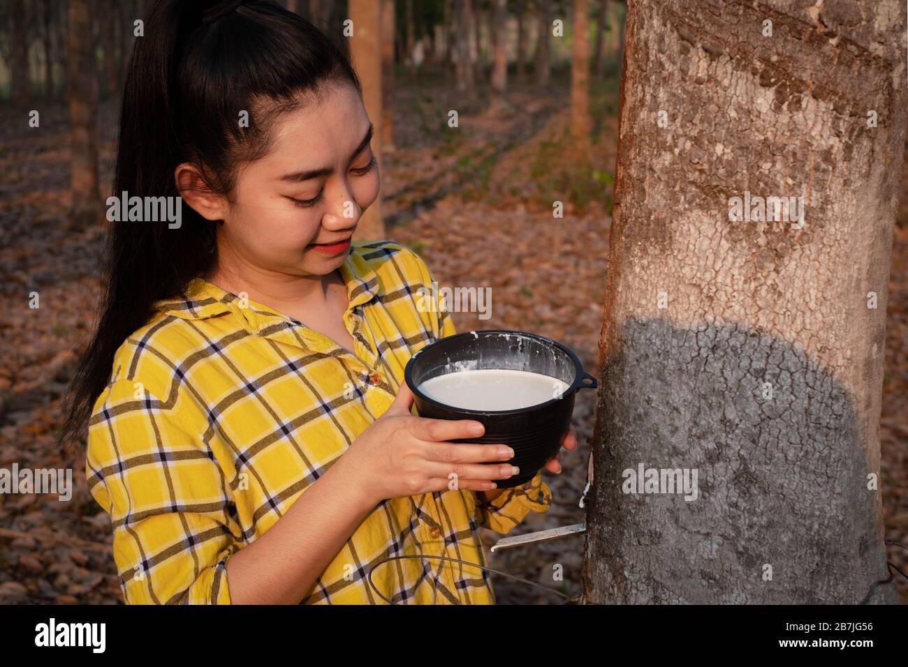 Portrait gardener young asea woman look at a full cup of raw para ...