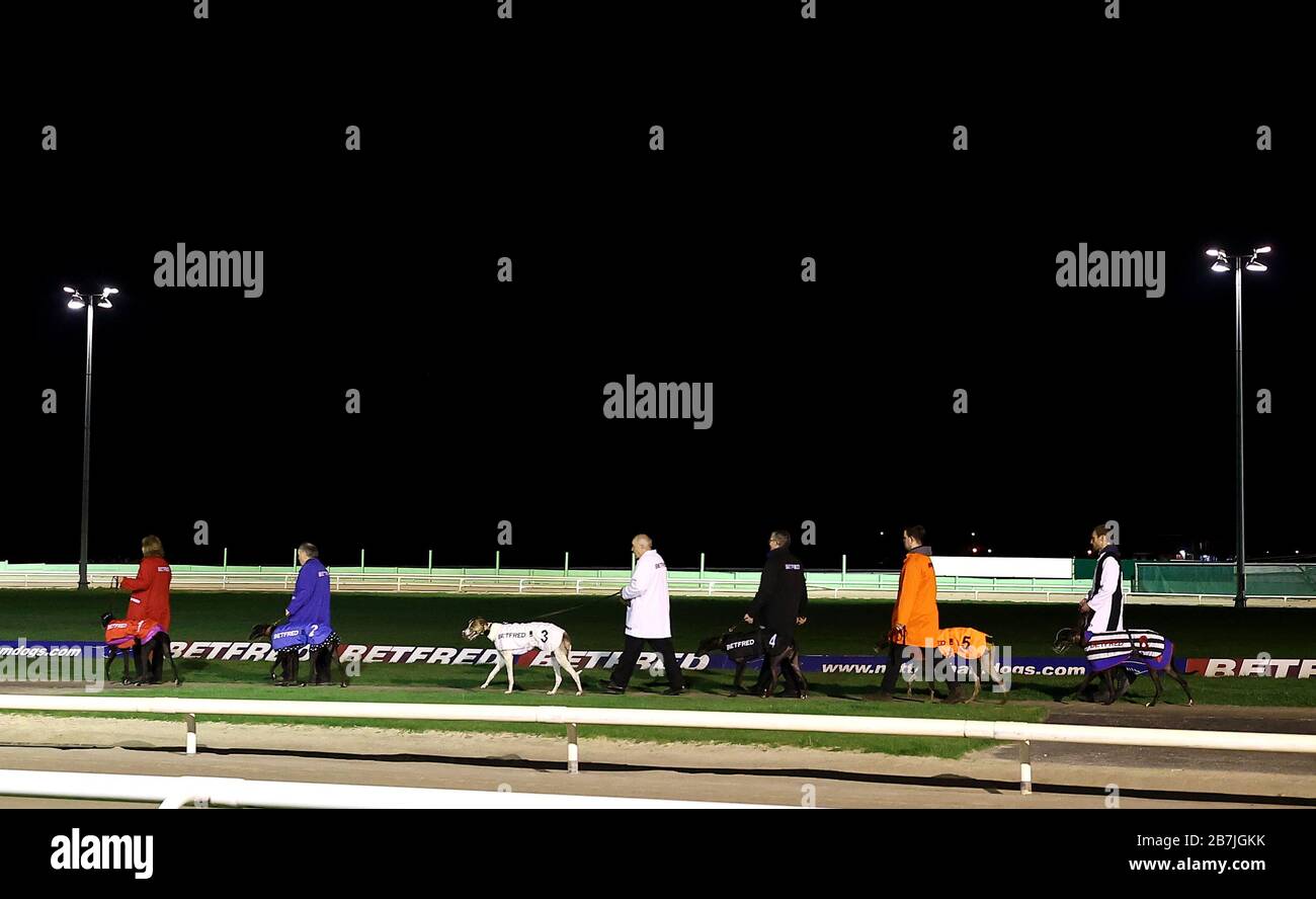 Signature Finlay, Million Spy, Droopys Flick, Million Wink, Annaghdown ...