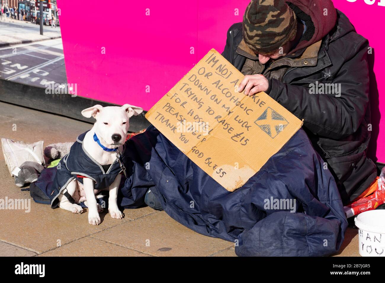 Homeless man with dog on Princes Street in Edinburgh, Scotland, Uk ...