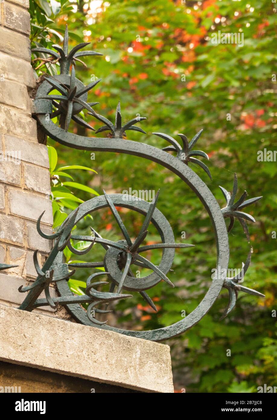 Paris wrought iron fence hi-res stock photography and images - Alamy